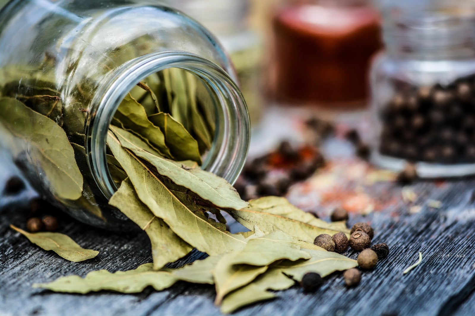 Le Laurier: tisane avec un pouvoir considérable | The principle of true ...