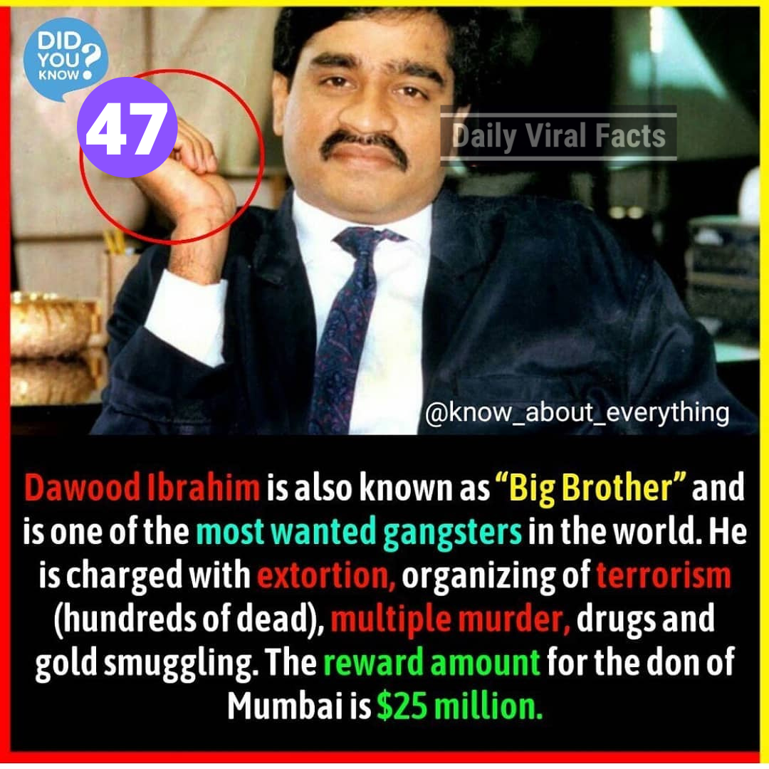 [100+] Amazing Facts That You Should Know #5