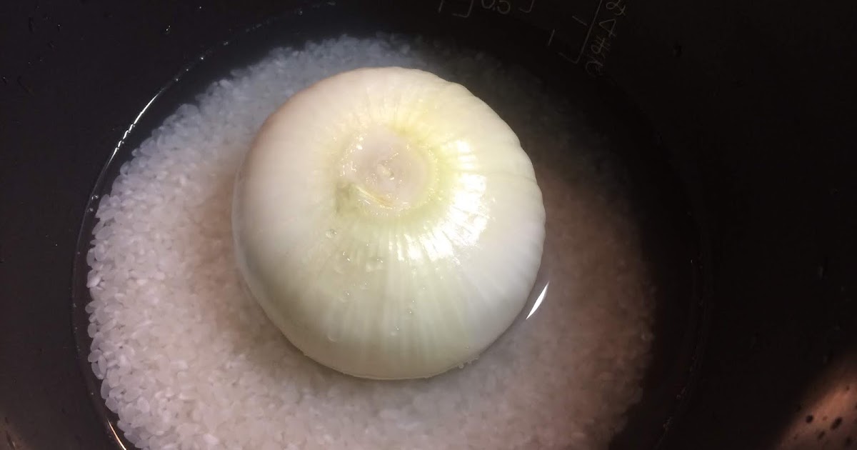 Our Adventures in Japan: shin-tamanegi gohan