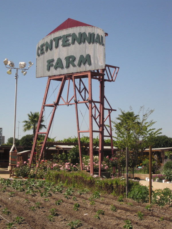 The Crazy Crouts: Centennial Farm Field Trip