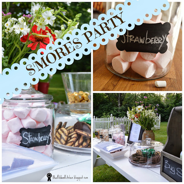Blue Ribbon Kitchen: We Love Mom S'more Than Ever! S'Mores Party!