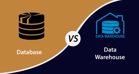 Difference Between Database and Data Warehouse | DB Exam Study