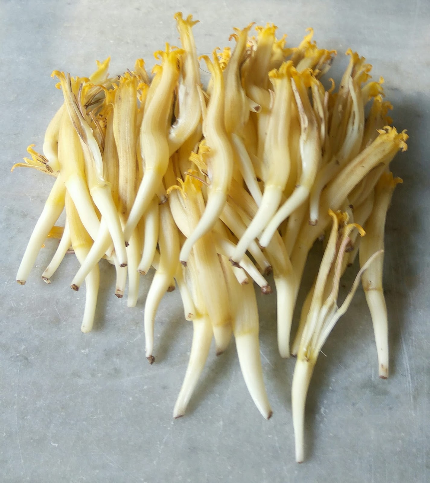 Cooking With Geetha: Bondi Phulla Polo / Banana Flower Florets Dosa ...