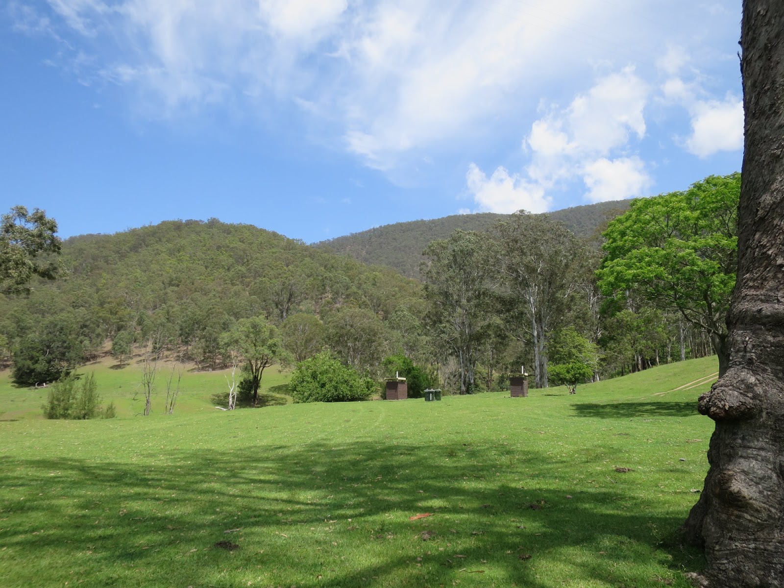 Adventures with G & T: On the road to Armidale