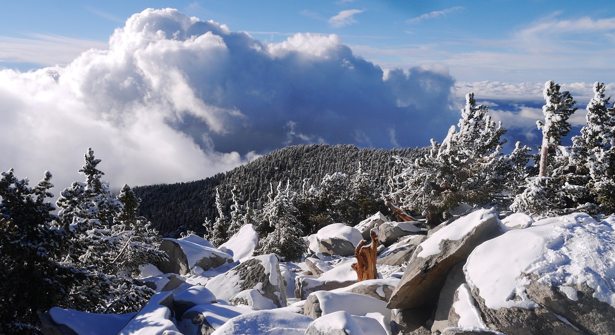 Your city's "favoured quarter" - Page 9 - SkyscraperPage Forum