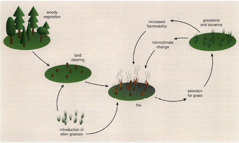 Ecosystem Impacts of Invasive Species