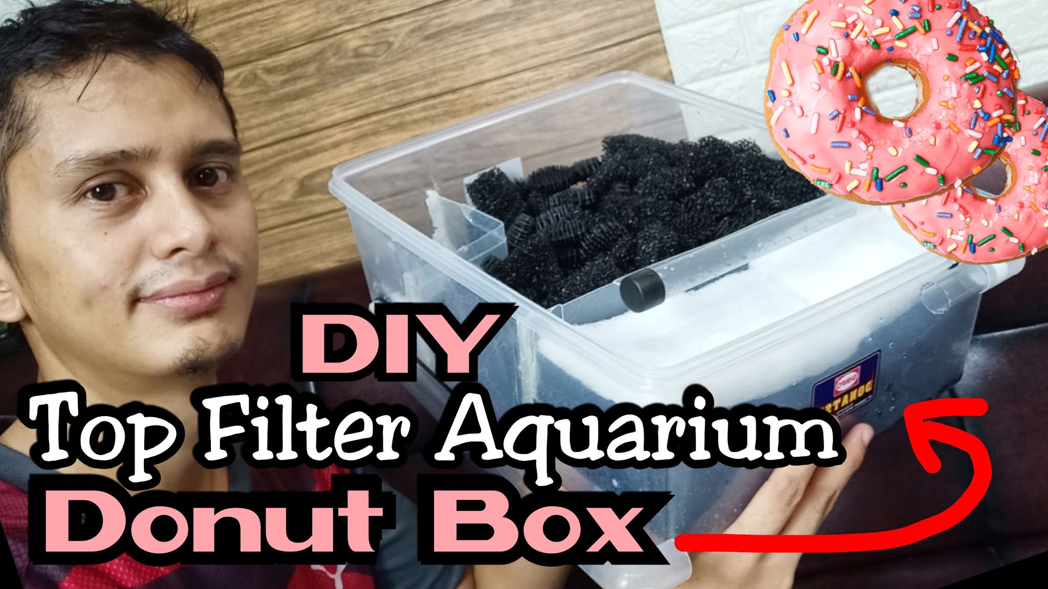 Cara Membuat Box Filter Aquarium Box Plastik (DIY Top Filter)
