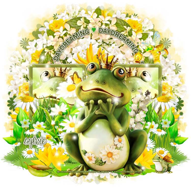 sylvie's tutorials: Prince Charm ♥