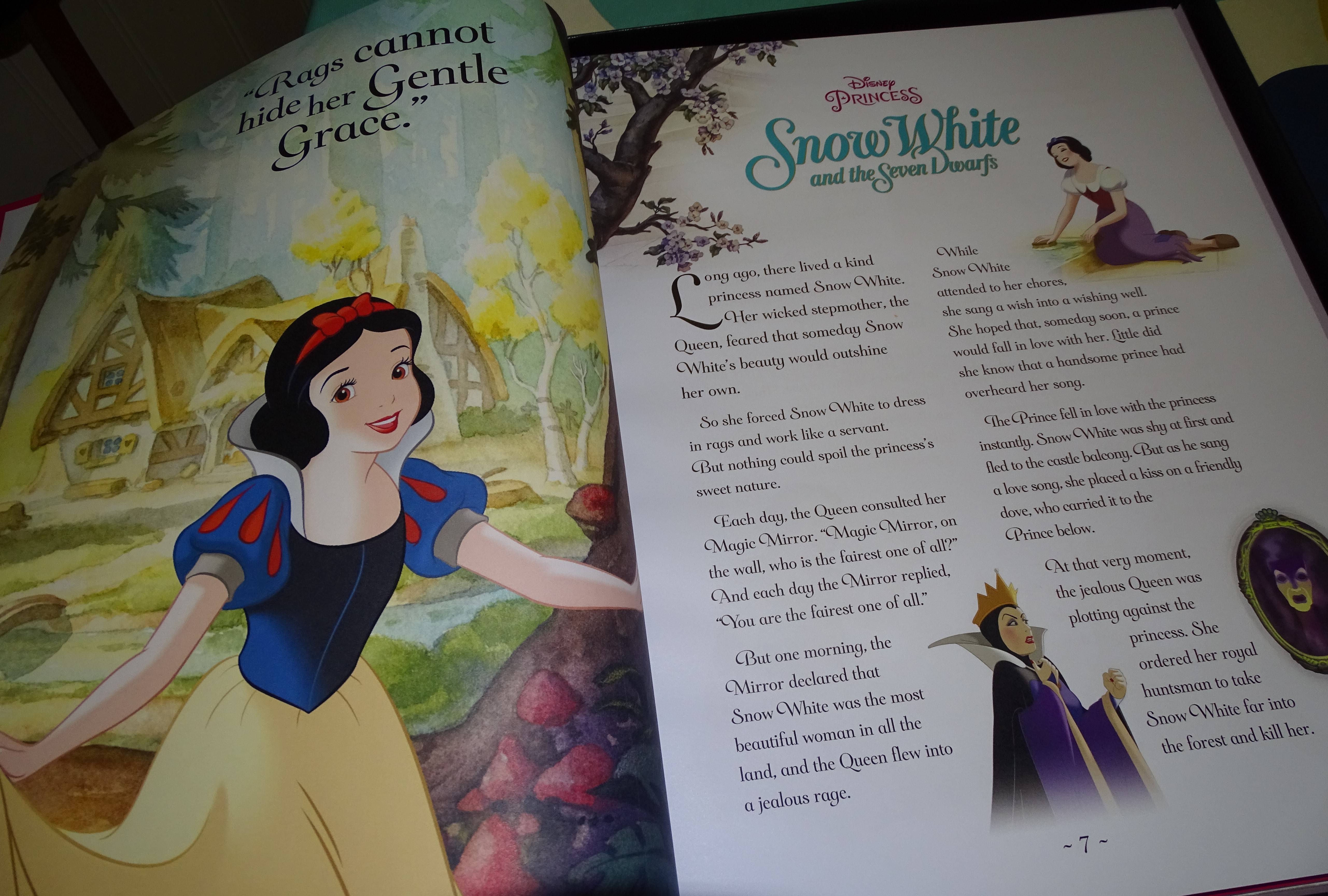 Personalised Disney Princesses The Ultimate Collection Book: A ...