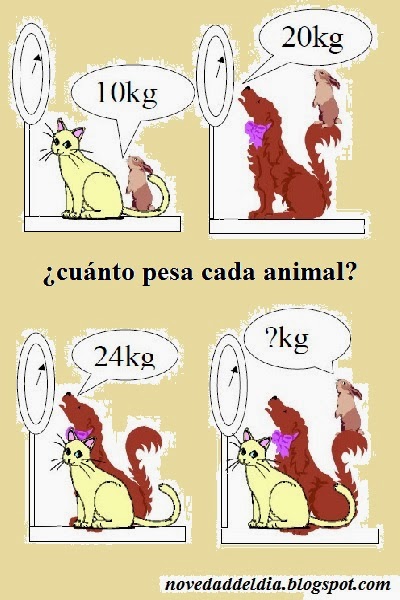 ¿SABÍAS QUE?: Calcula el peso correcto de cada animal