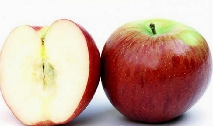 9 Jenis Apel Unggulan Dari Amerika