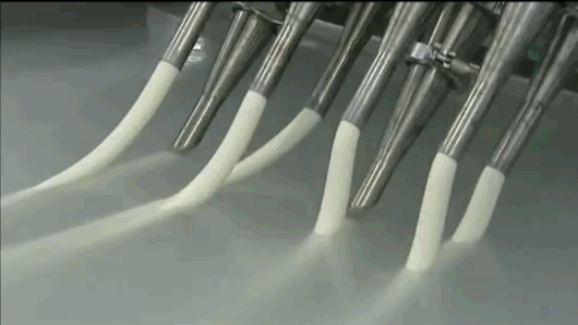 Every Day Is Special: September 20 - National String Cheese Day