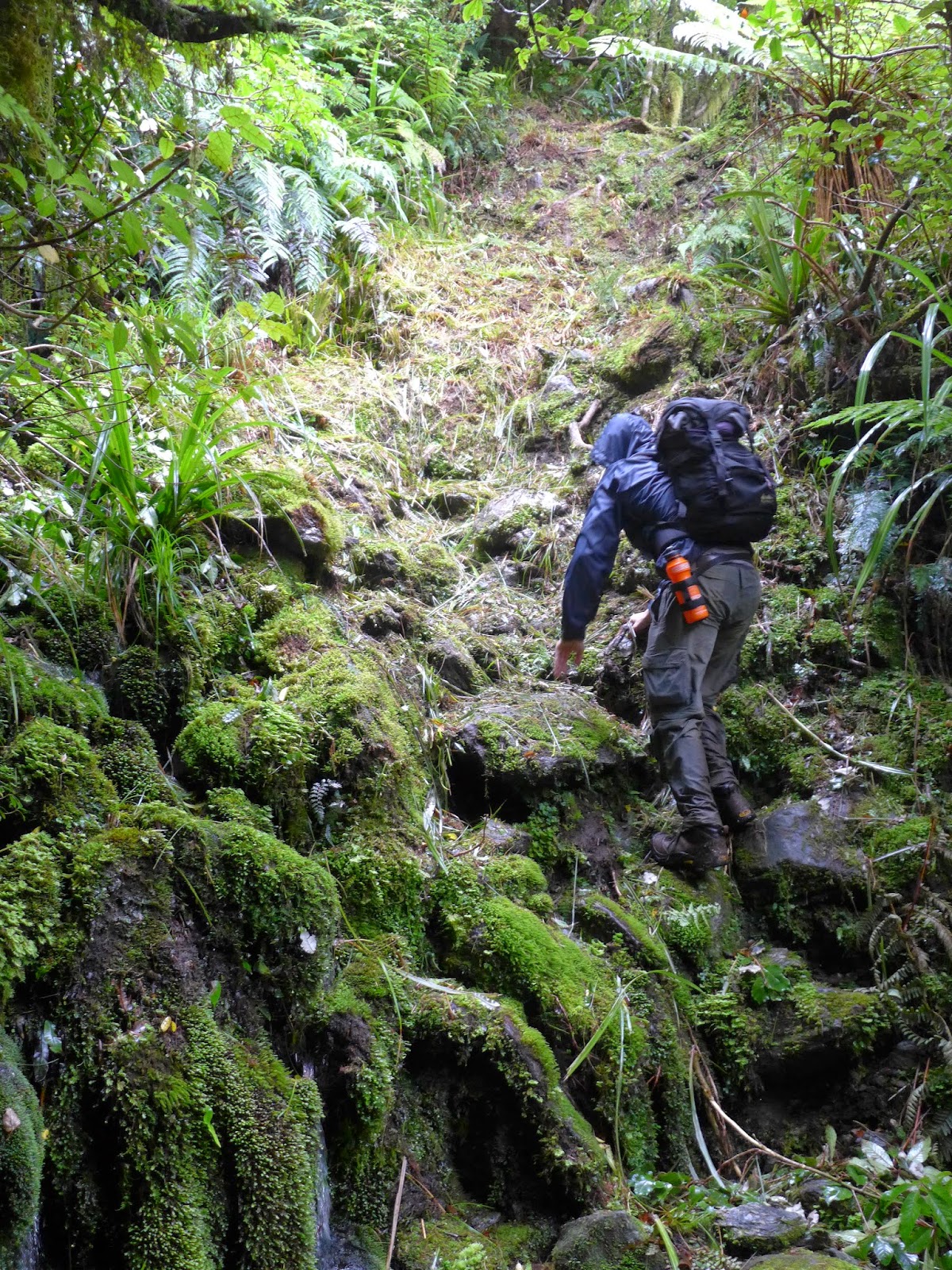 Wazza's Wanderers : Whymper Hut, Whataroa Valley.
