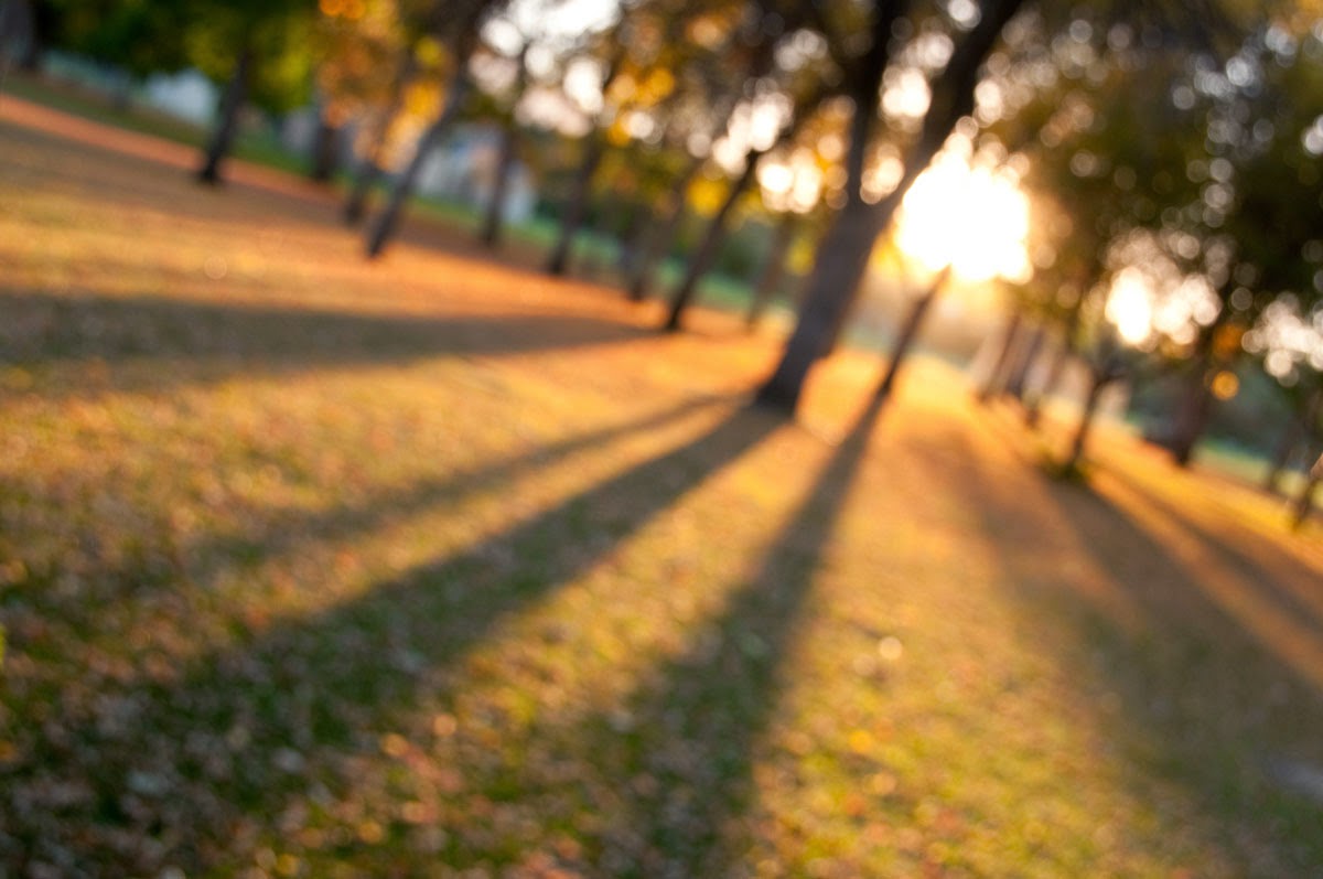 Filmmaking 1-2-3: Cinematography With Natural Light