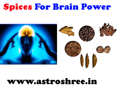Power Brain Through Spices
