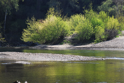 LA TRIBUNE DU CLAP: L'eau de la Cèze est elle baignable