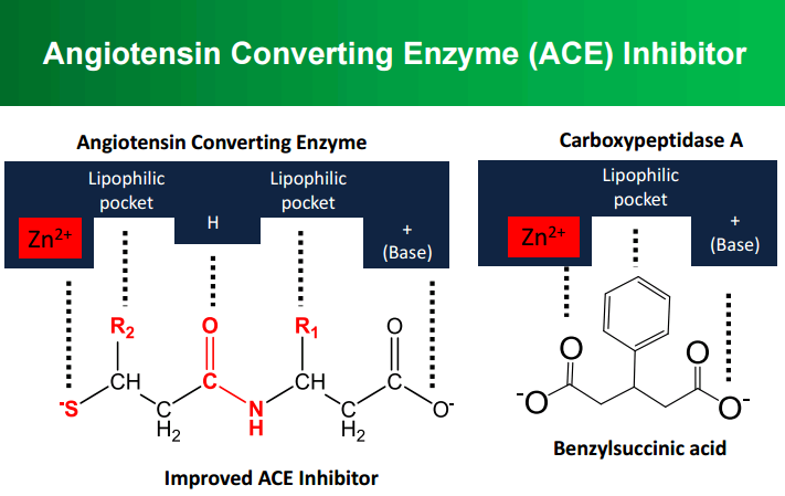 Study Pack: Drugs act on RAAS - ACEI,ARB,Renin inhibitor