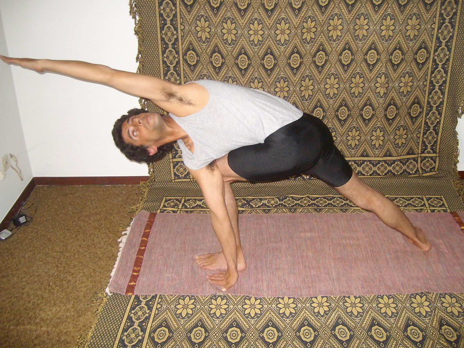 KAVI SÁDHANÁ: ASANAS