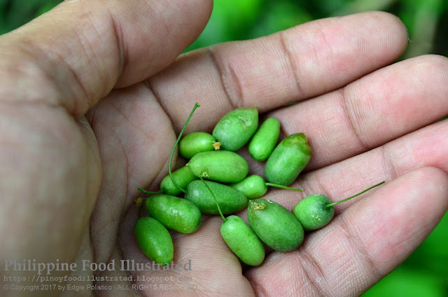 Philippine Food Illustrated: pipinong gubat