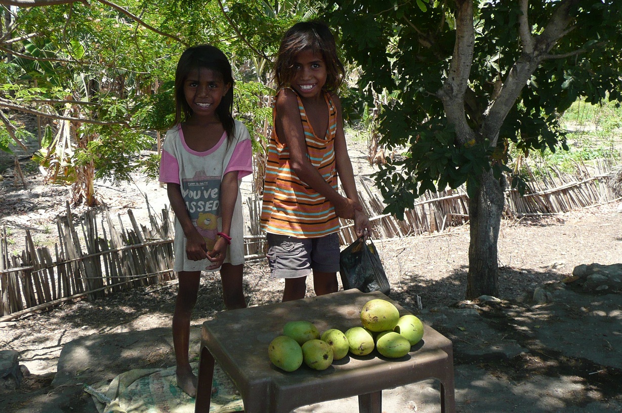 Mutterings of a Mid-Aged Mutt: Timor-Leste's Revealing Road Show