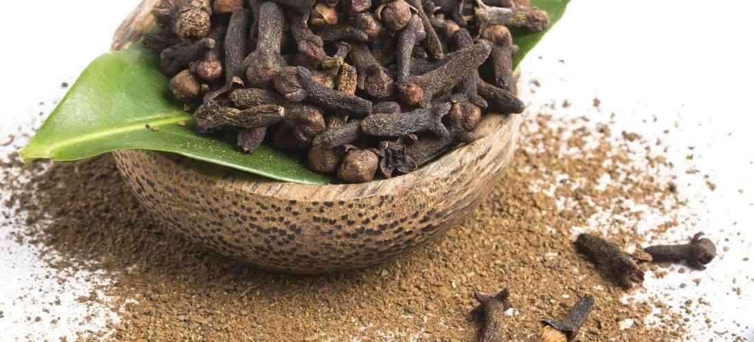 12 Benefícios do Cravo-da-Índia à Saúde