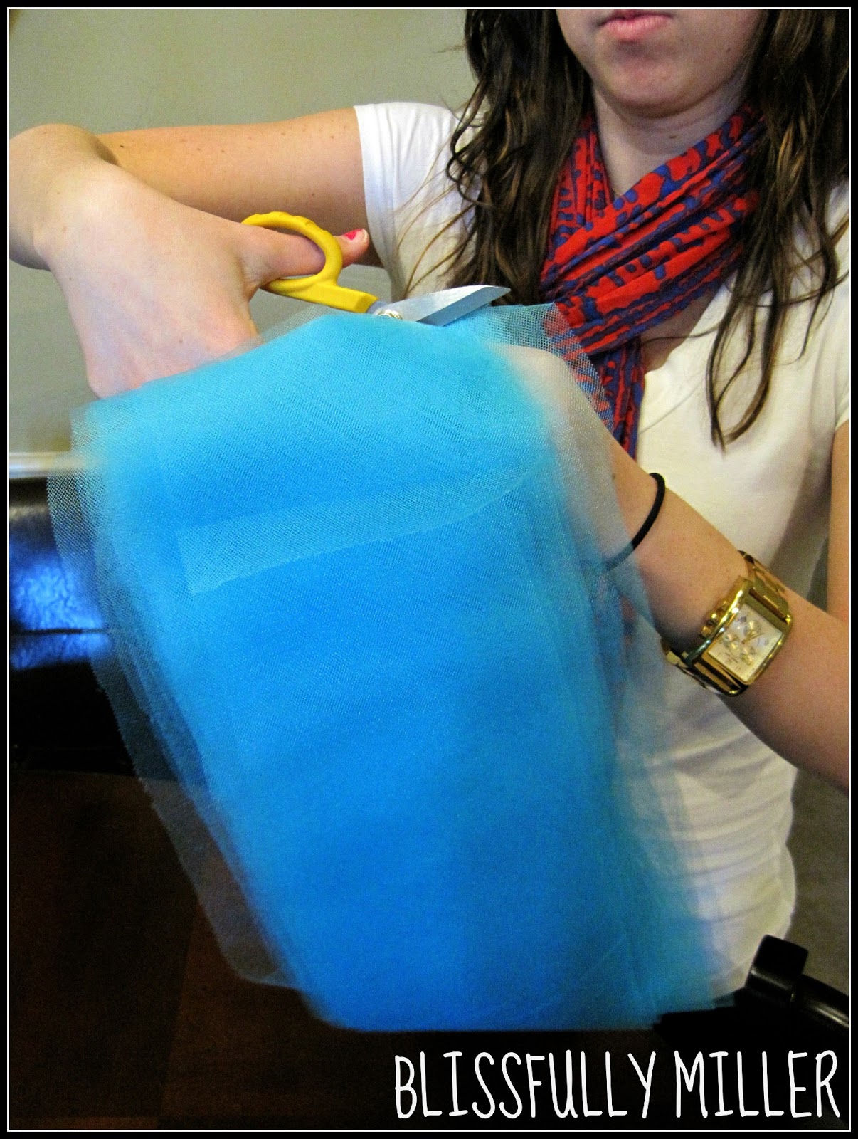 Blissfully Miller: DIY Tutu - Saw It, Pinned It, Did It!