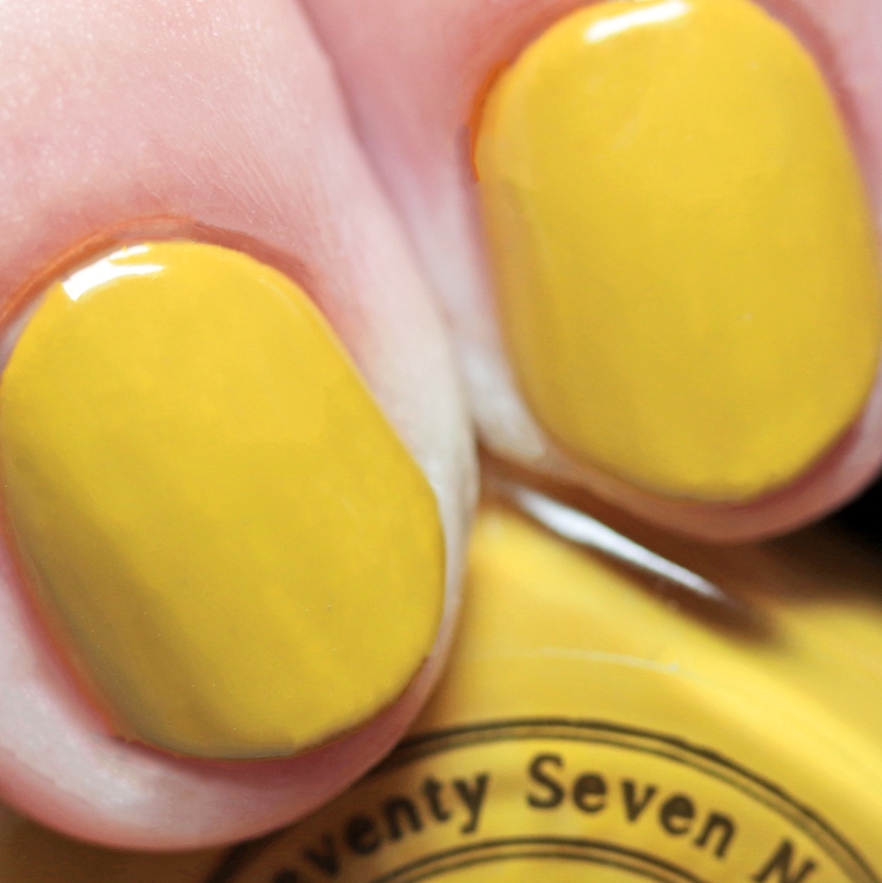 The Polished Hippy: Seventy-Seven Nail Lacquer Fall 2020 Collection ...