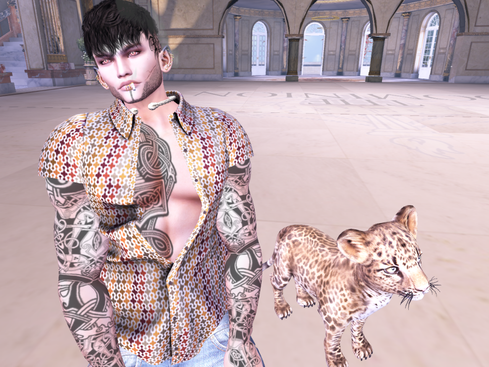 The Dominion Femdom: And More In Focus...