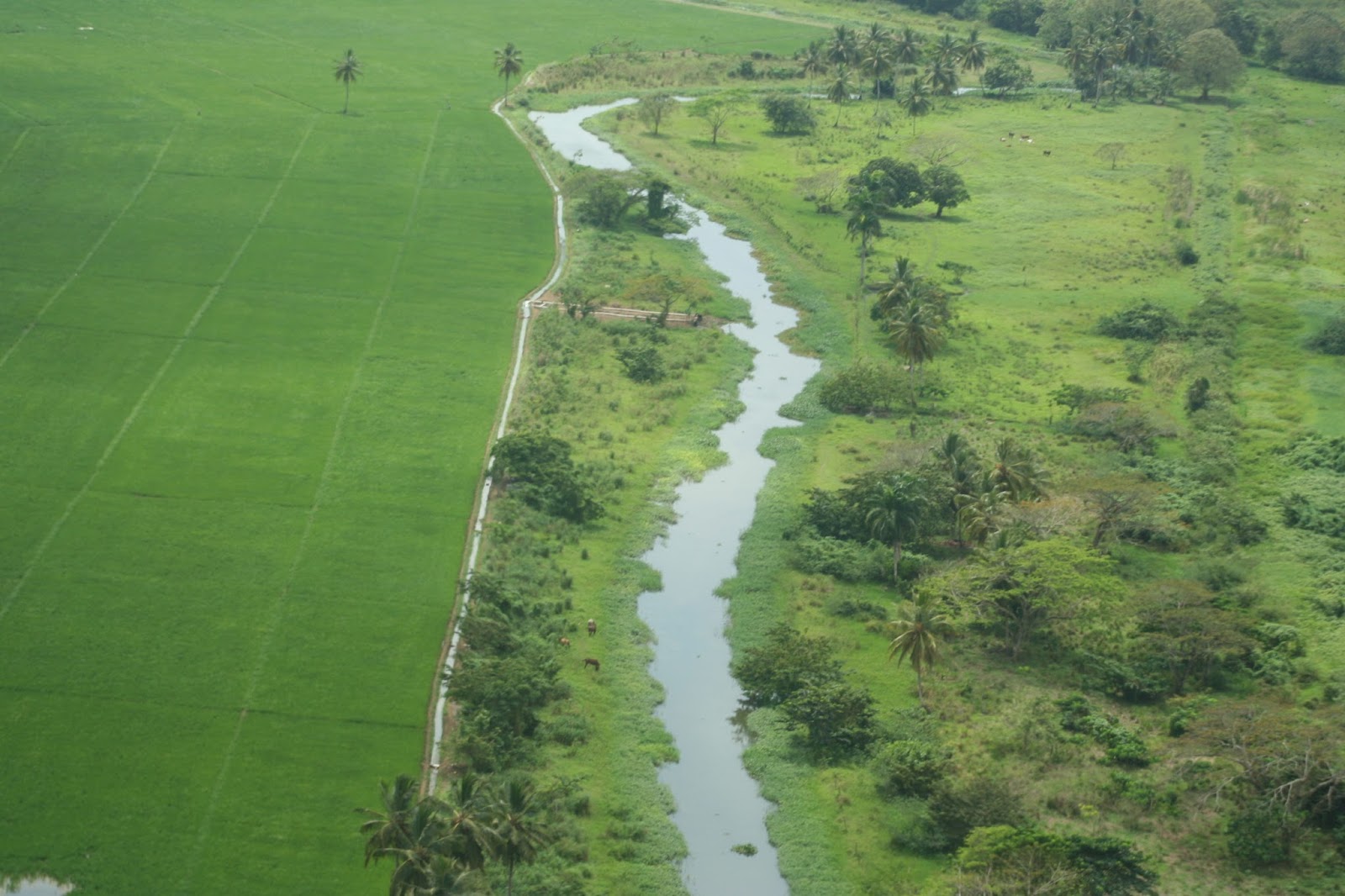 Alternativas para Cuidar el Medio Ambiente: INICIA LIMPIEZA Y ...