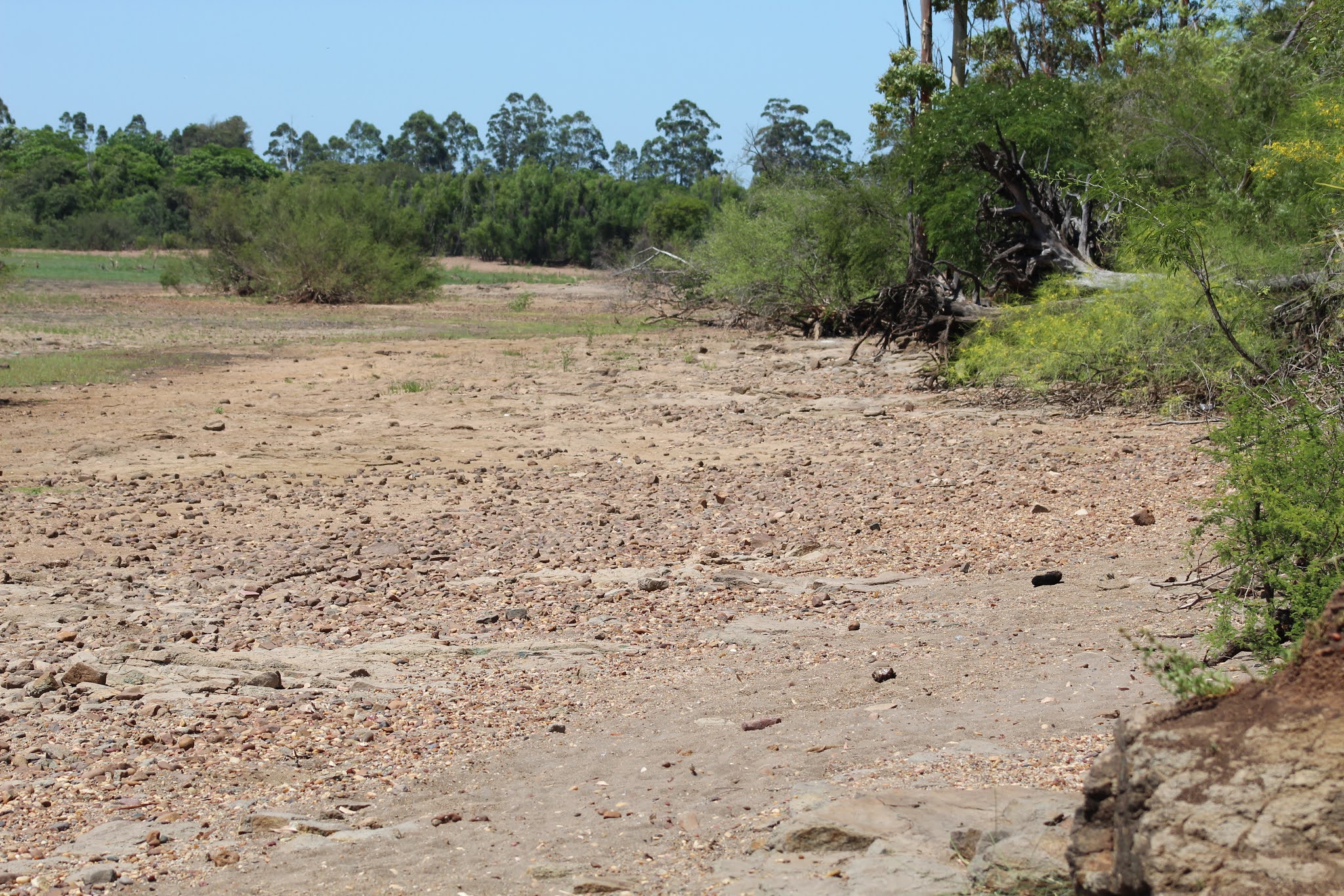 ASOCIACION ECOLOGISTA RIO MOCORETA: EL RIO URUGUAY ESTA BAJO, EN LA ...