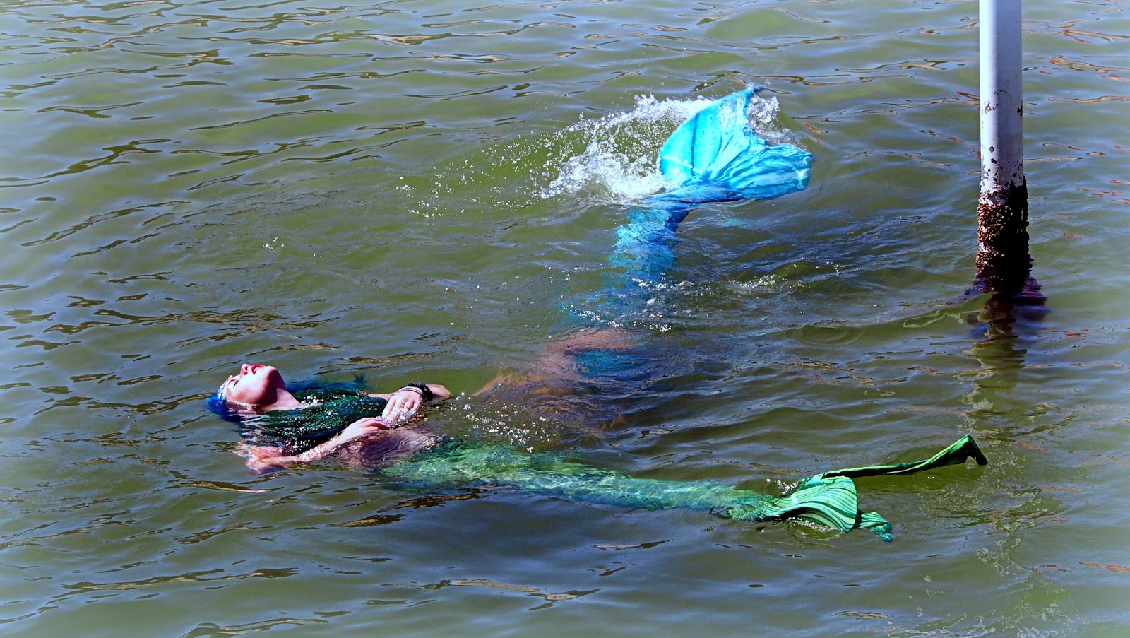 Perth Daily Photo : Mermaids.. myth or reality!