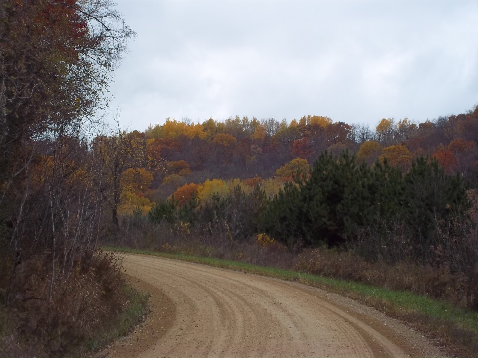 Travels with Rocky the Dog: Whitewater State Park and the Root River Valley