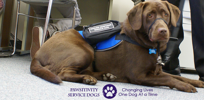 Robert's Sister: January 2013