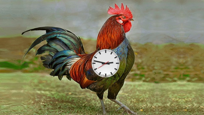 Chi scrive non muore mai: Gallo in tribunale: potrà cantare dalle 8 alle 22