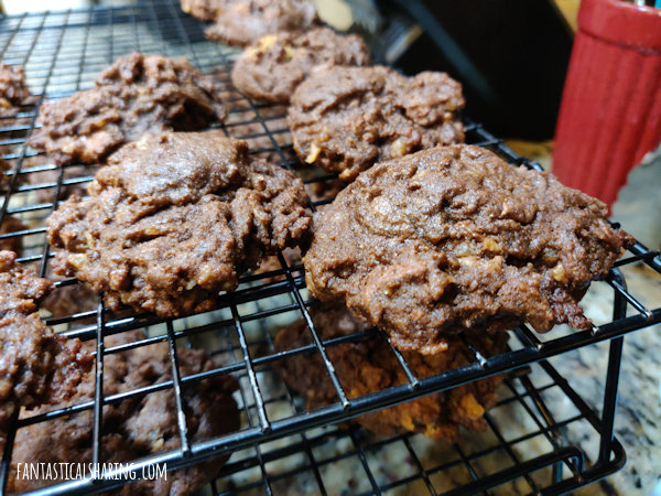Fantastical Sharing of Recipes: Chocolate Crunch Cookies