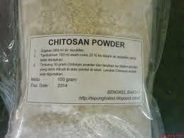 Kitosan : KITOSAN PENGAWET ALAMI