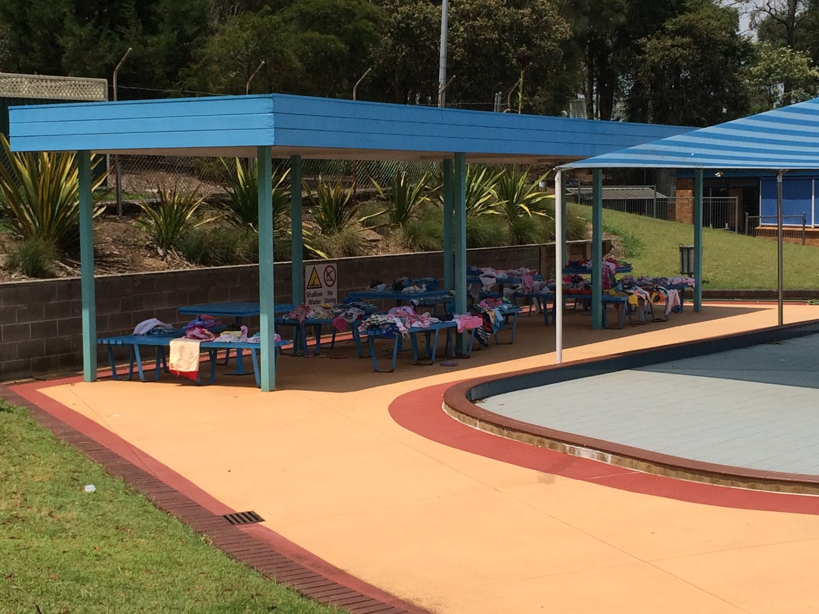 Swimming: Roselands Aquatic centre