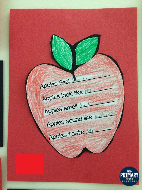 We love Apples! - The Primary Post