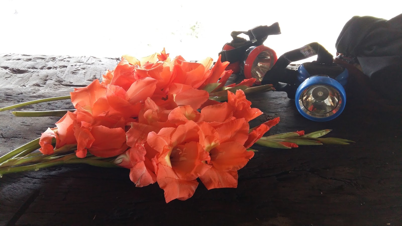 Laura in Dili: Eh, Foho Ramelau...