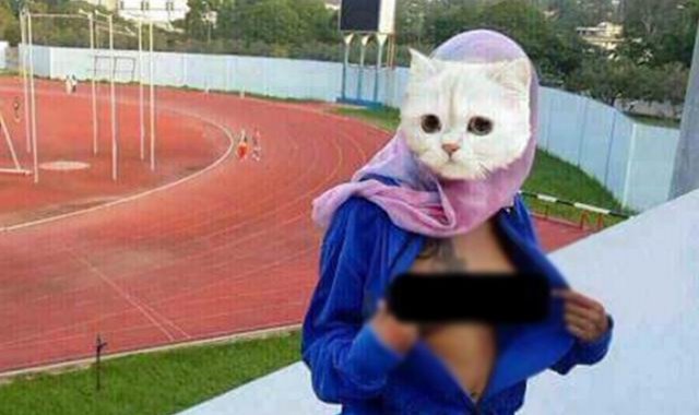 22+ Foto Eksib