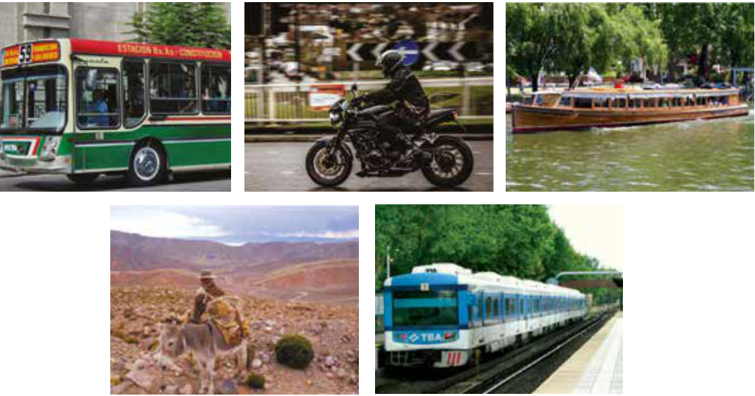 Escuela Nº 13 DE 6 "Brig. Gral. José Matías Zapiola": CONOCIMIENTO DEL ...