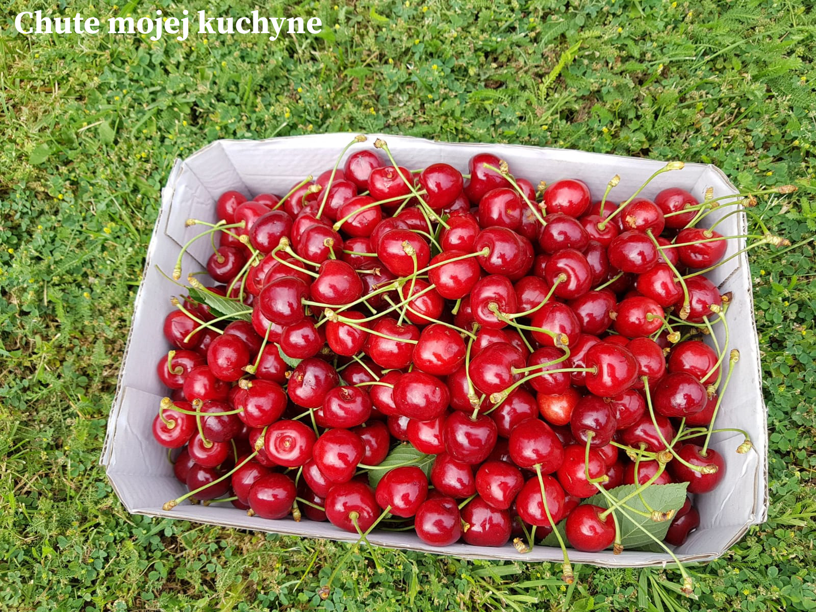 Chutney / Čerešňové čatní