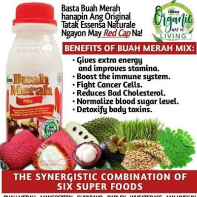 Deskripsyon ng produkto