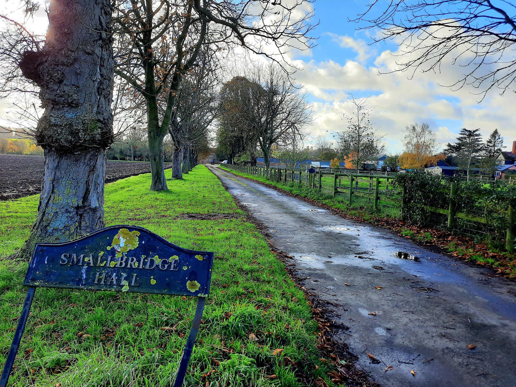 My Adventures 3: Bures Essex/Suffolk Circular Walk 12th November 2020
