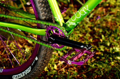 Litegallery: Dartmoor Cody 2011 by Marcel Hunt