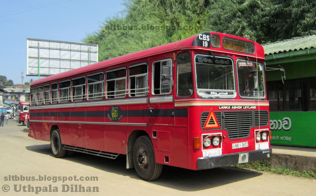 SLTB buses - ශ්‍රී ලංගම බස්: Ashok Leyland Viking Turbo 54 seter SLTB ...