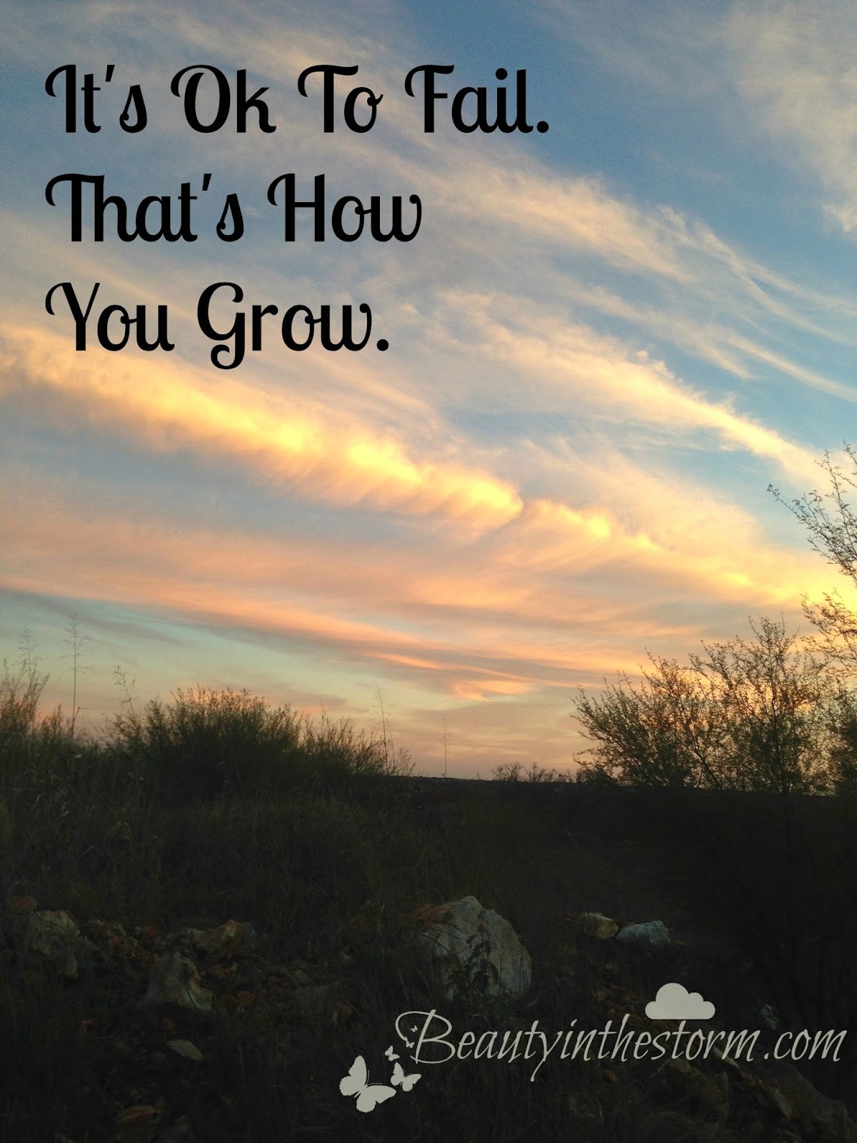 ~Beauty In the Storm ~: It's Ok to Fail. That's How You Grow.
