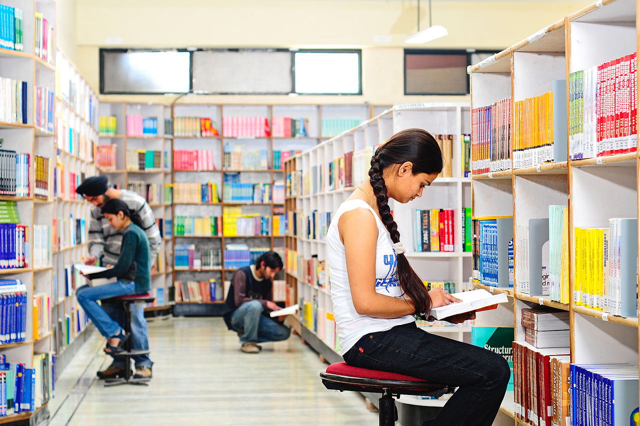 Scope of further study in arts stream