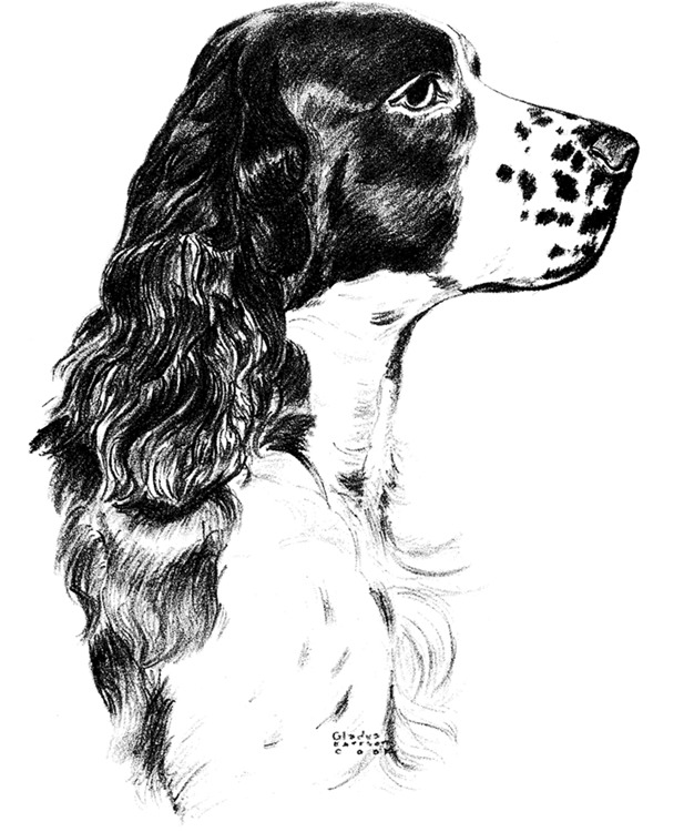 Springer Spaniel | Design Art Write