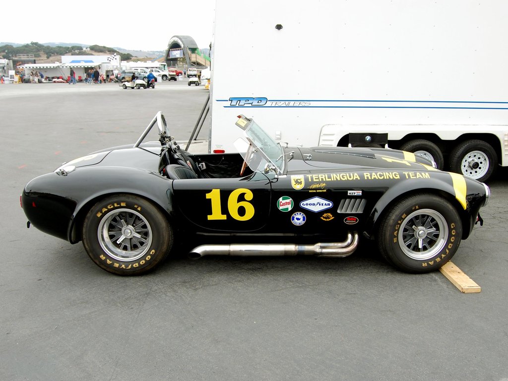 Ford Shelby Cobra 427 s/c ~ Ford is My World